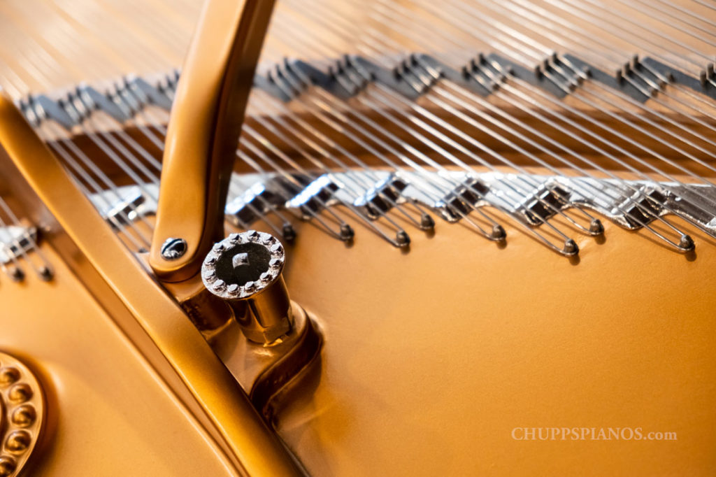 1894 Steinway Model C Semi-Concert Grand Piano - Empire Art Case