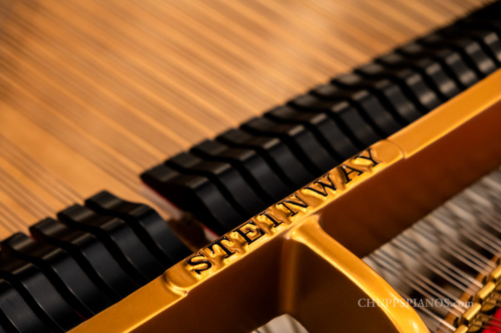 1894 Steinway Model C Semi-Concert Grand Piano - Empire Art Case